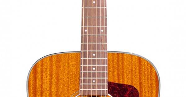 Guild D-120E