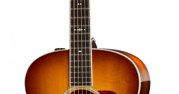 TAYLOR 518E F.LTD-[FREE CASE]