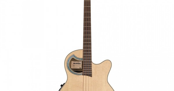 Warwick Alien Standard Acoustic Bass 4 String