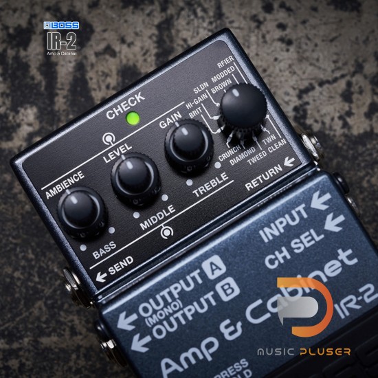 BOSS IR-2 Amp and Cabinet