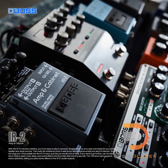 BOSS IR-2 Amp and Cabinet